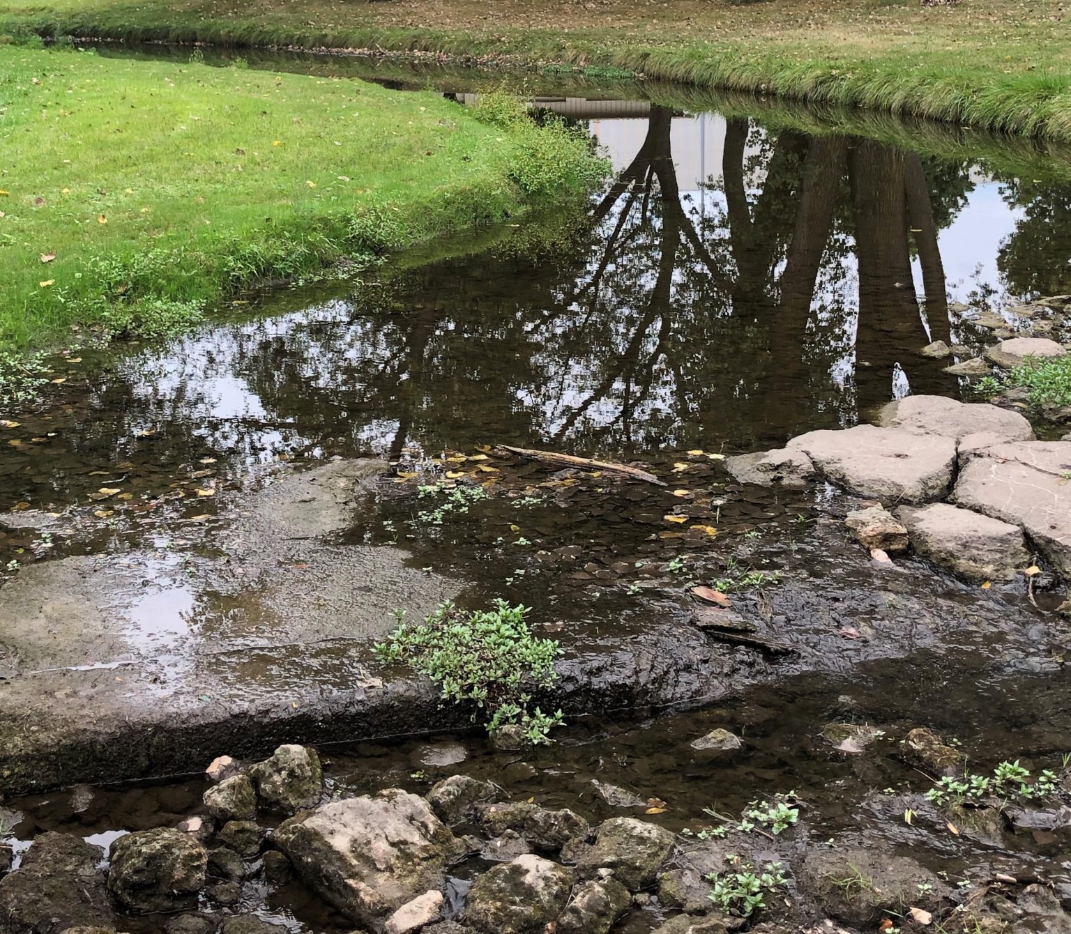 Sundstrand Park - Belvidere Park District