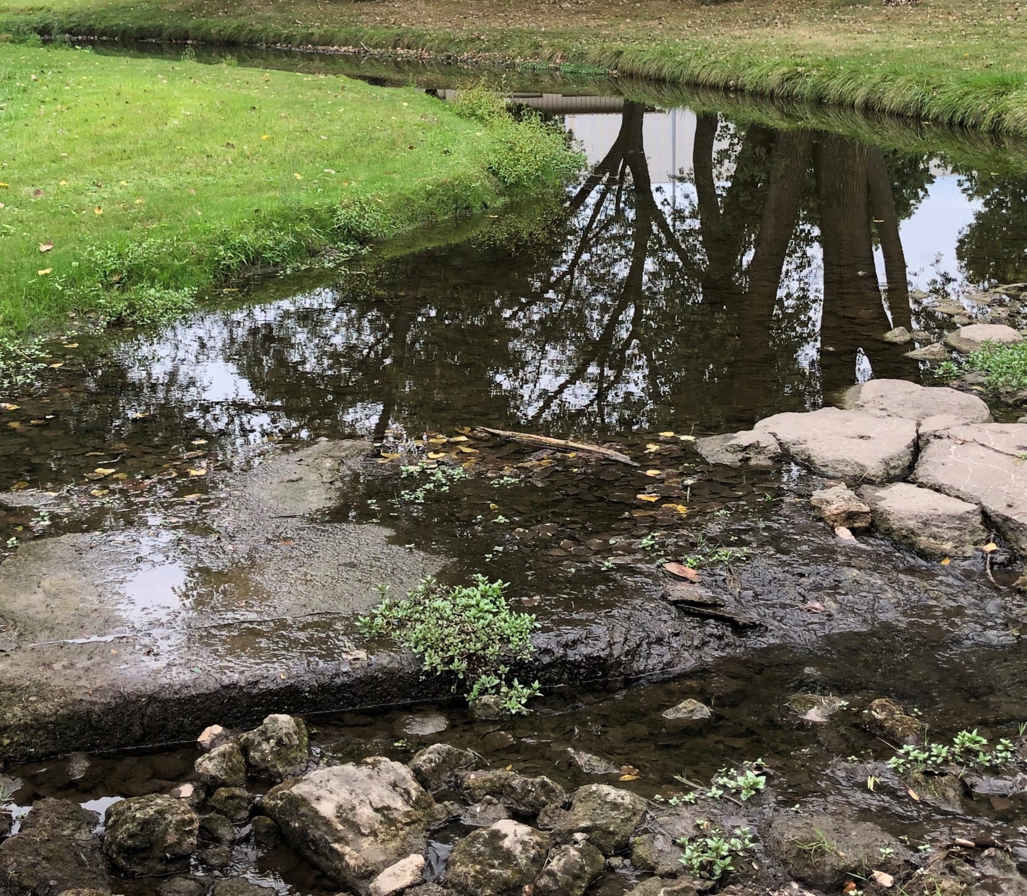 Sundstrand Park - Belvidere Park District